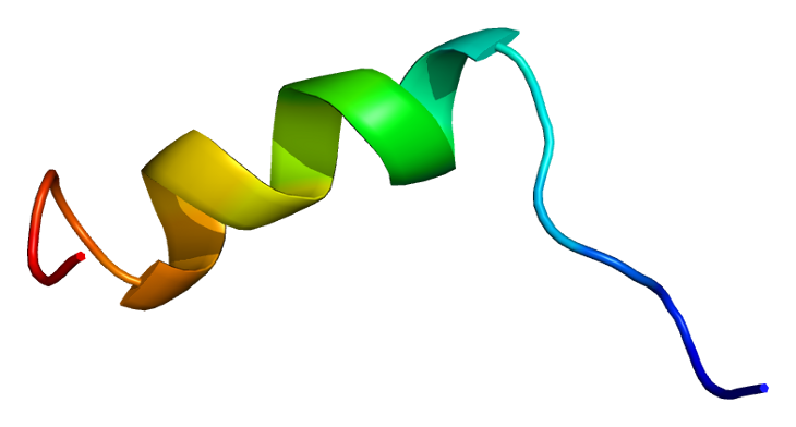 The SCN2A protein | Beyond the Ion Channel