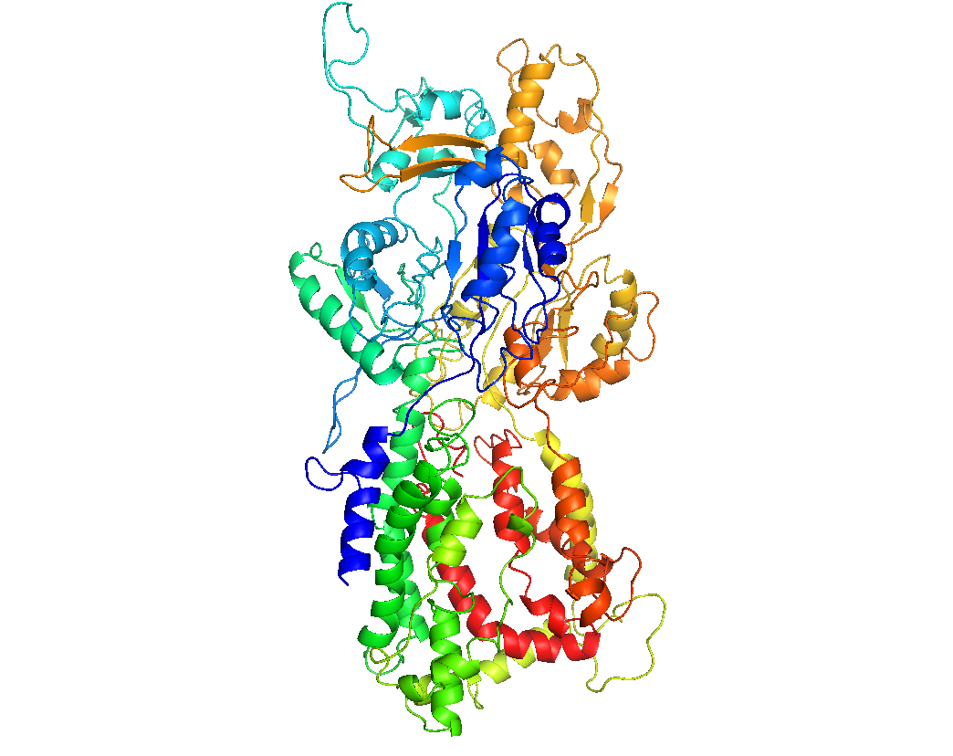 SCN2A takes center stage again as an autism gene | Beyond the Ion Channel