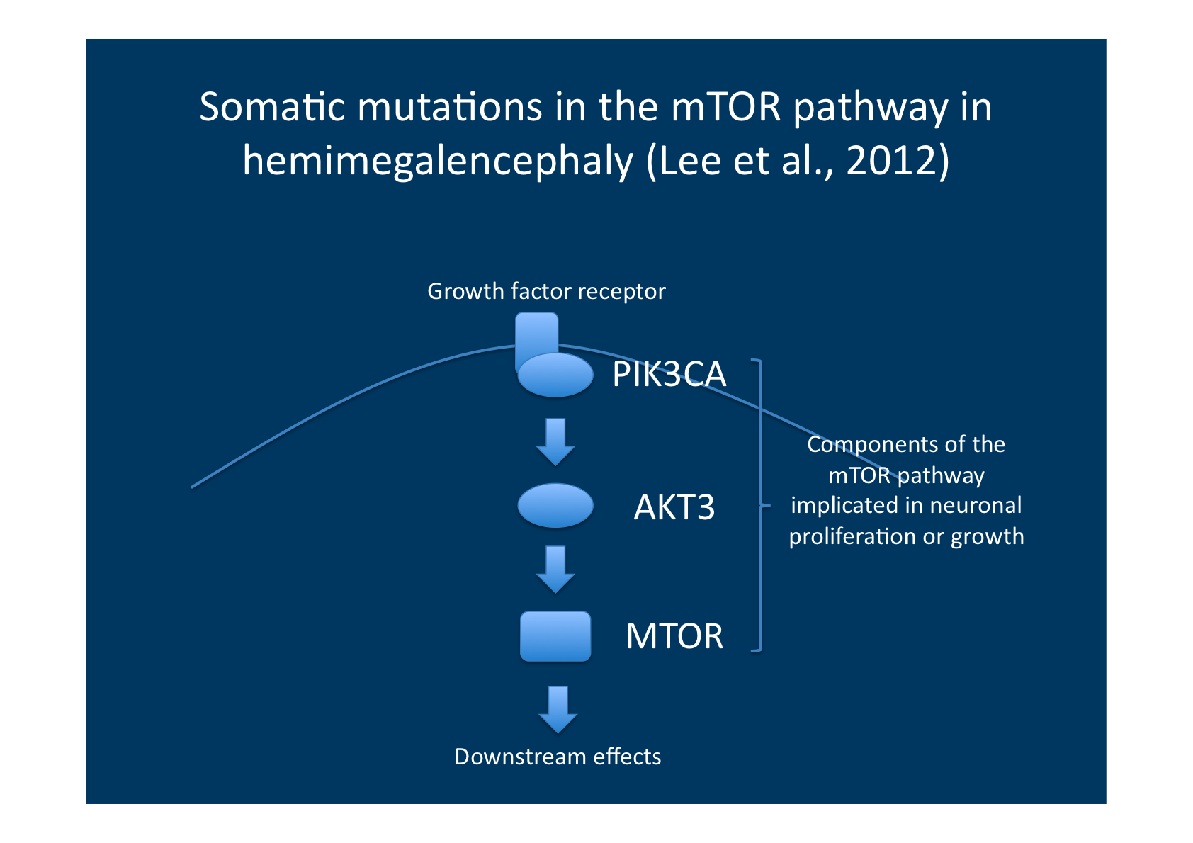 Lee2012 | Beyond the Ion Channel