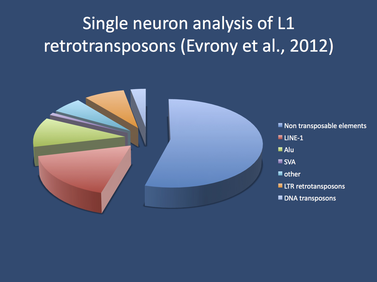 L1 Beyond The Ion Channel