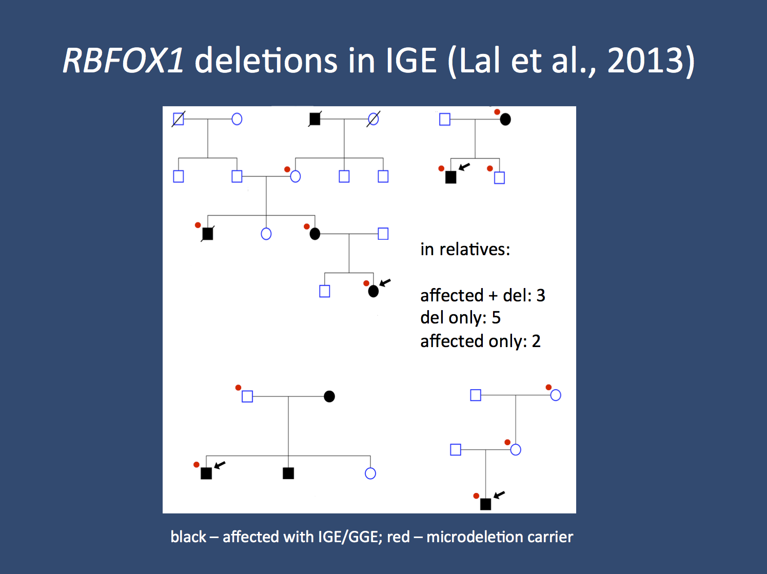 RBFOX1 | Beyond the Ion Channel