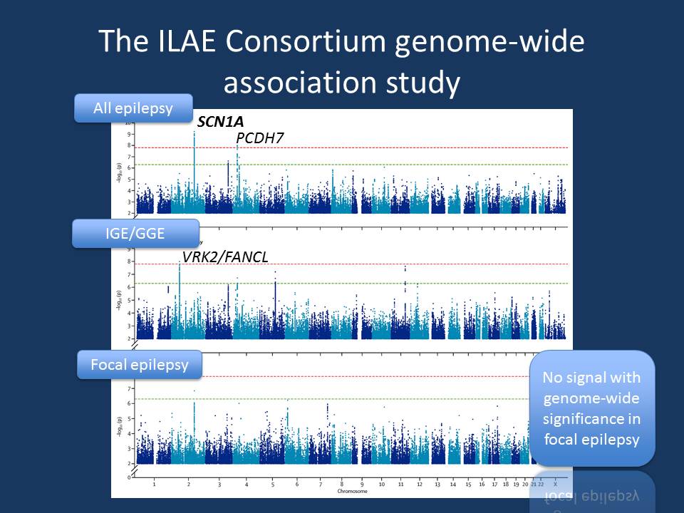 The common variants in our genome that predispose to epilepsy – the ...
