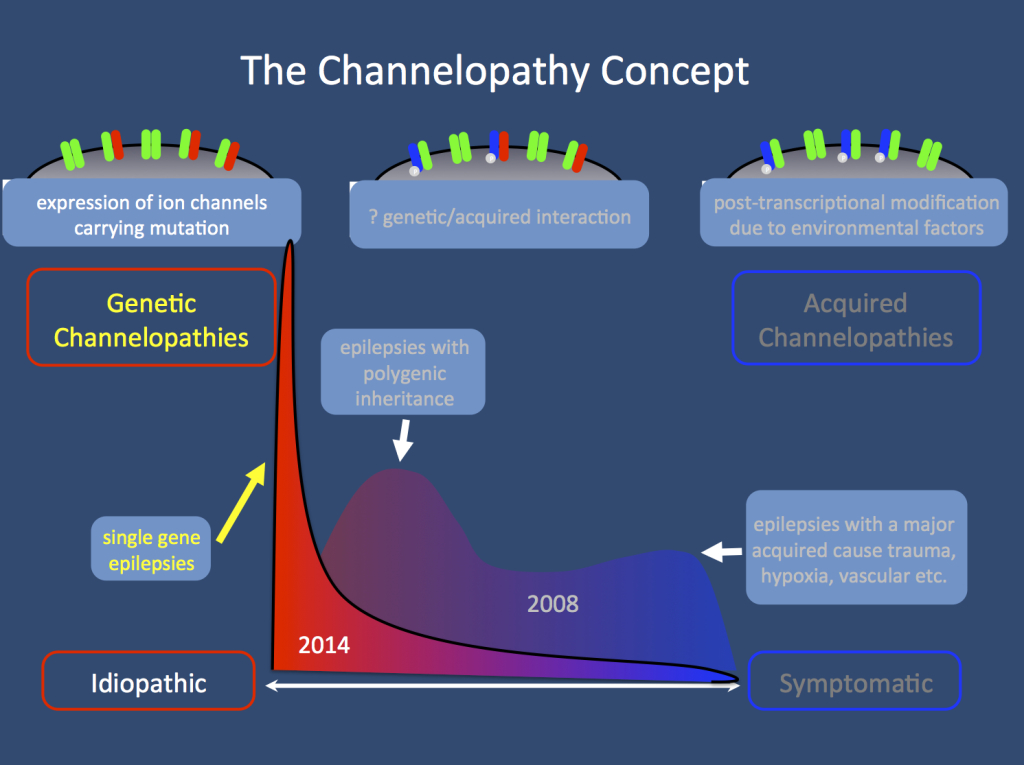 Beyond the Ion Channel – and back | Beyond the Ion Channel