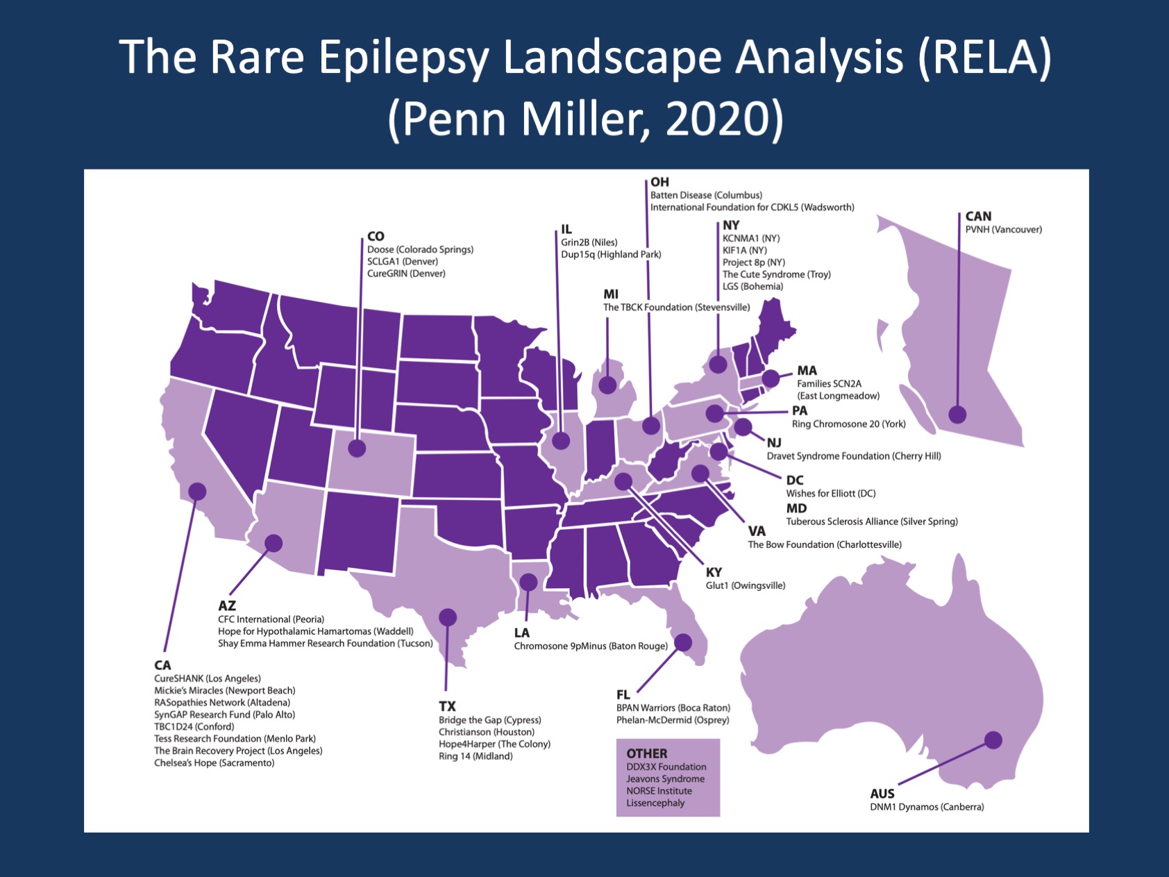 Understanding patient advocacy – the Rare Epilepsy Landscape Analysis ...