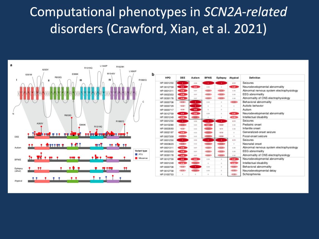 SCN2A – a neurodevelopmental disorder digitized through 10,860 ...
