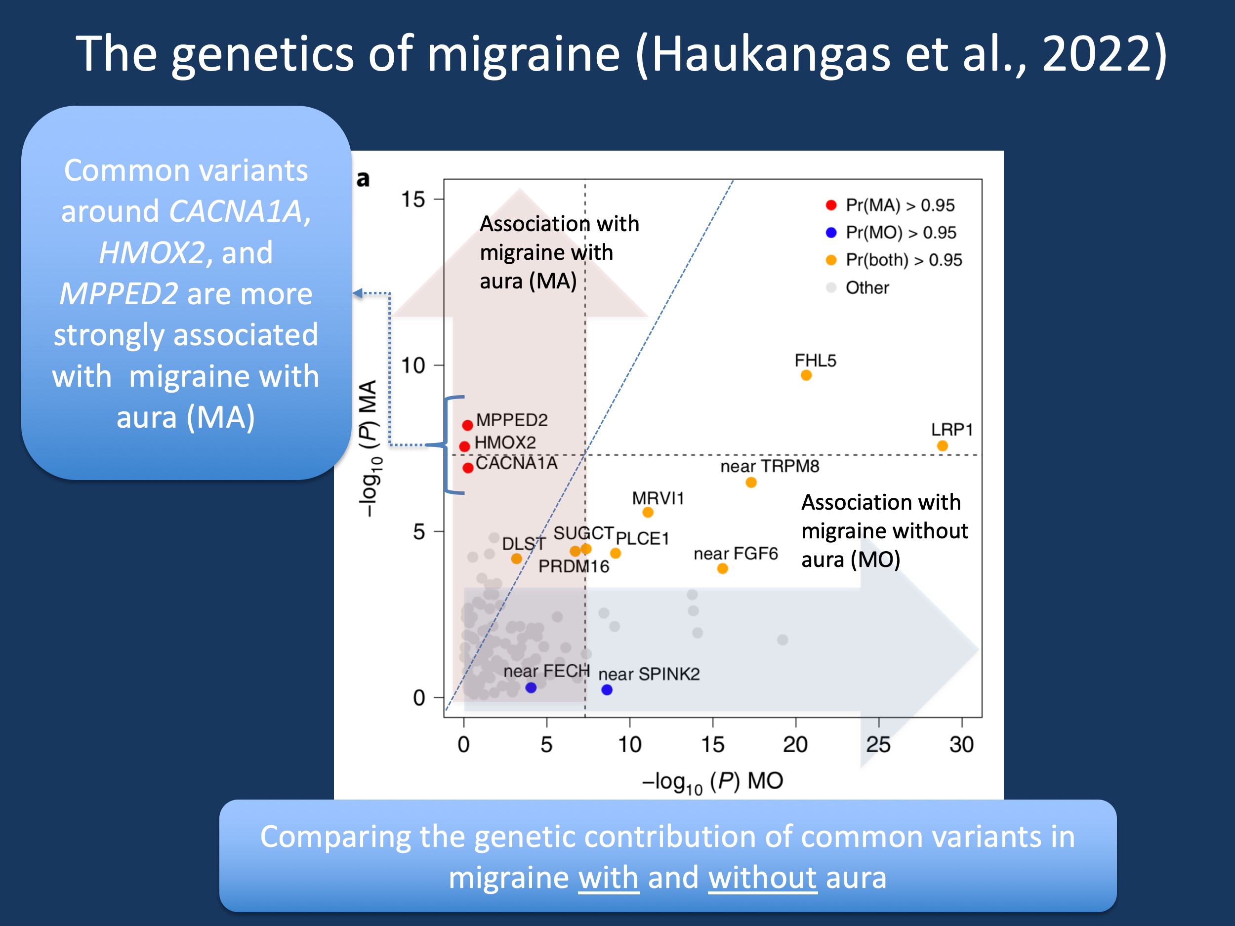 CACNA1A, hemiplegia, and the genetic of migraine | Beyond the Ion Channel