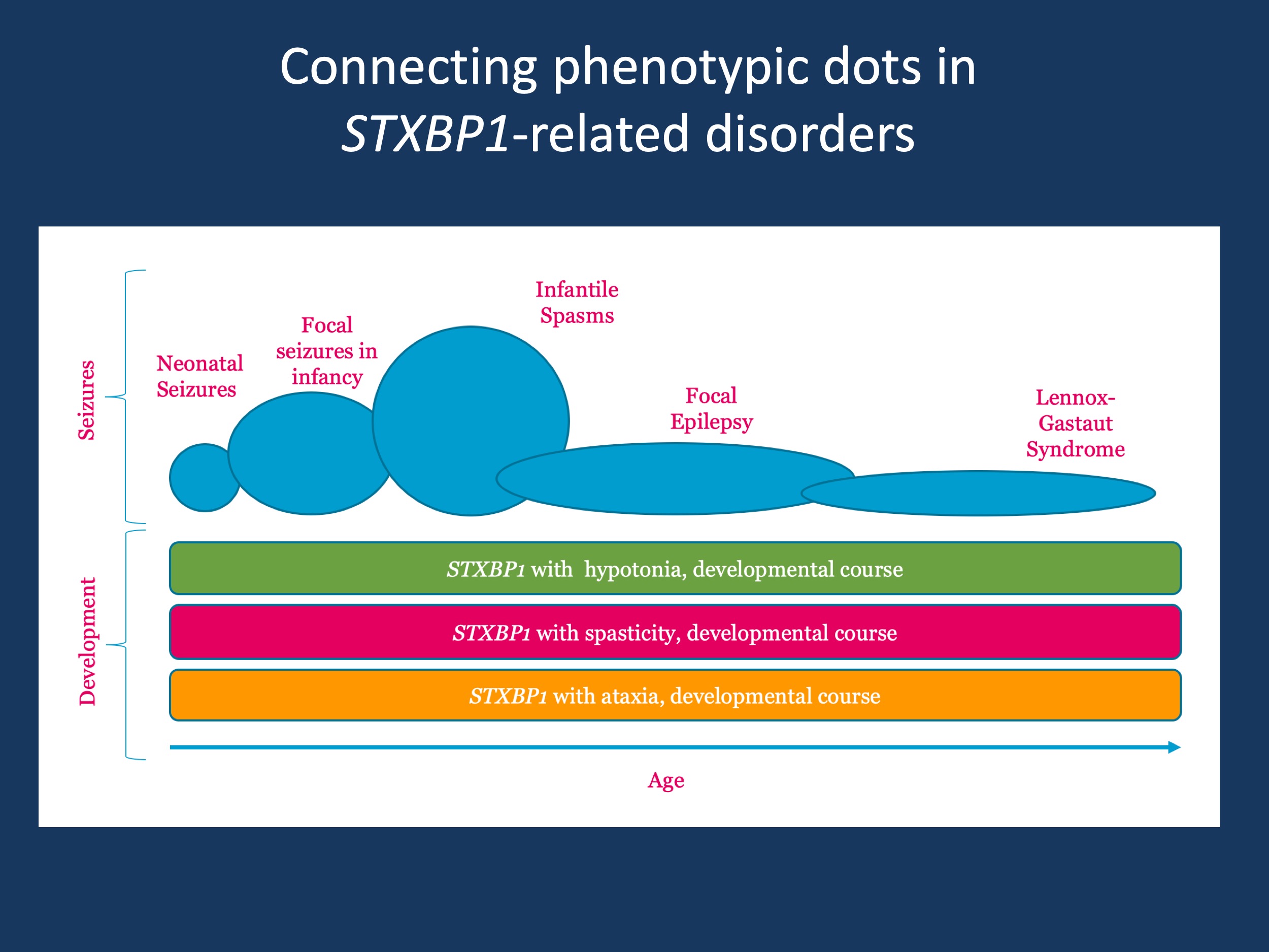 The 2022 STXBP1 Summit – a personal reflection | Beyond the Ion Channel