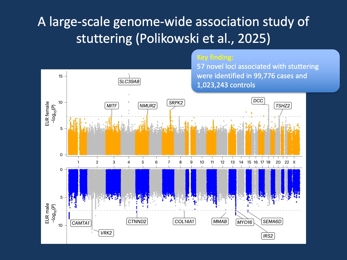 Chasing the Demosthenes gene – the complex genetics of stuttering ...